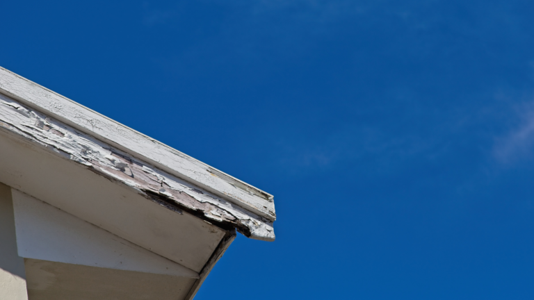 7 Expert Tips to Replacing Rotted Fascia Board - Auravex Gutters