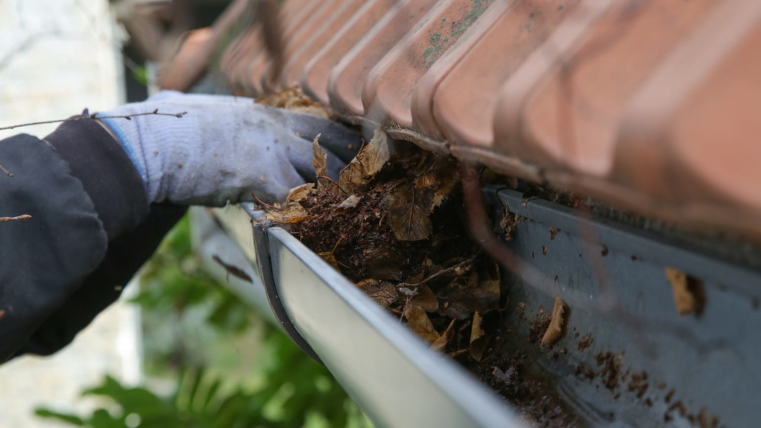 Top 5 Ways to Prevent Clogged Gutters This Fall | Auravex Gutters